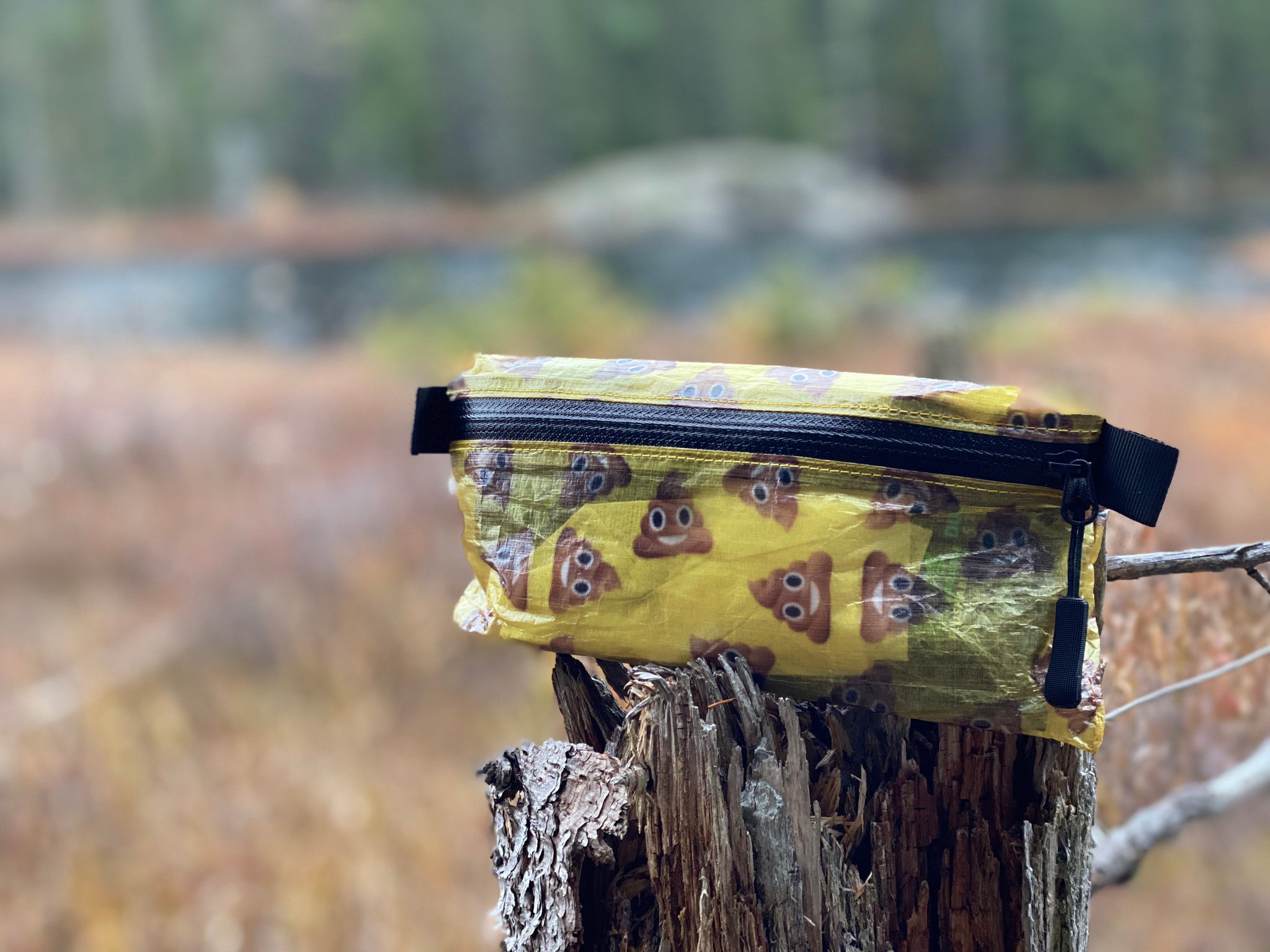 Space Bear Bags
